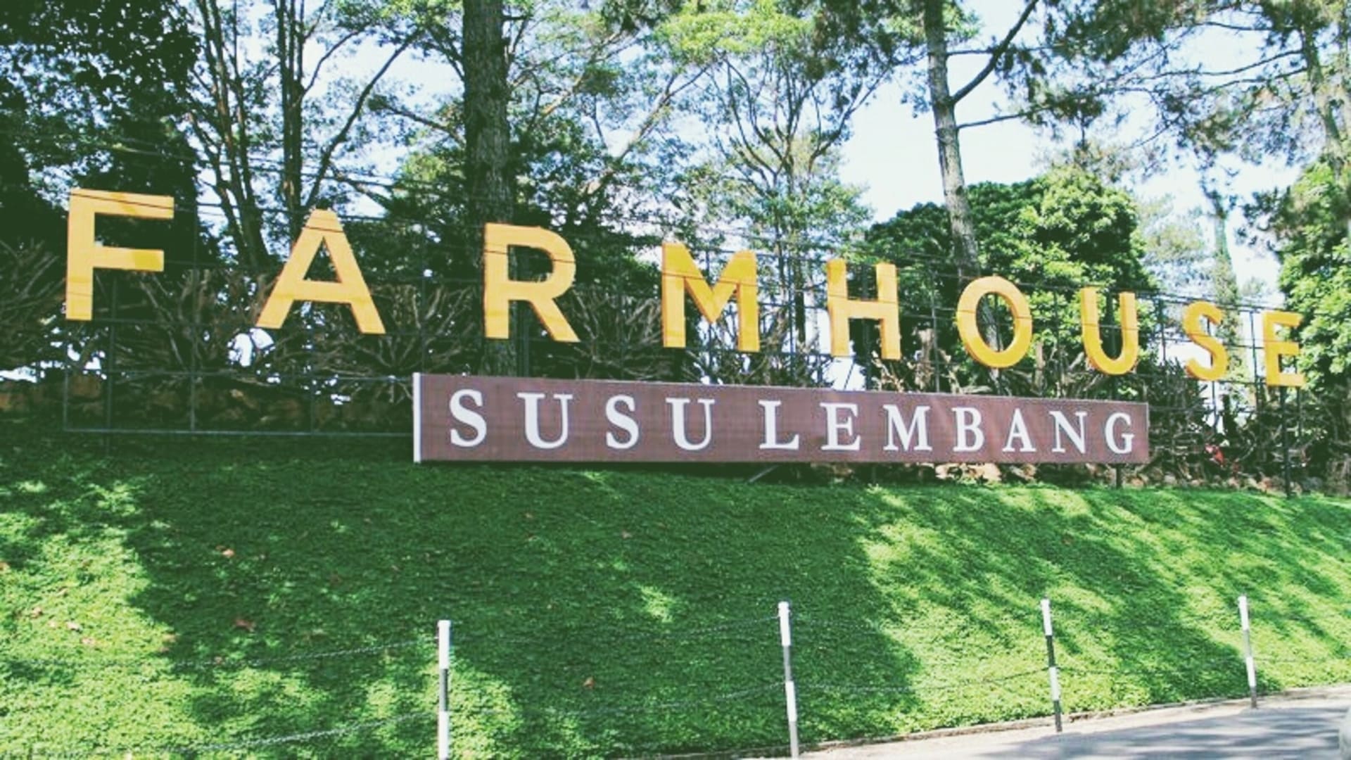 Harga Tiket dan Fasilitas Farmhouse Susu Lembang Mei 2026