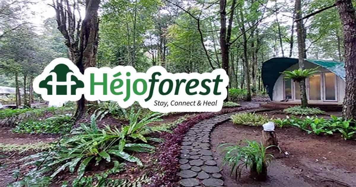 Hejo Forest Ciwidey Bandung