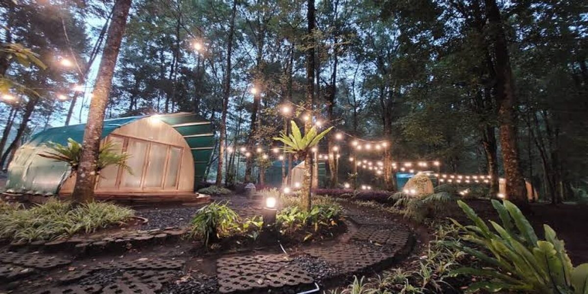 Hejo Forest Ciwidey Bandung